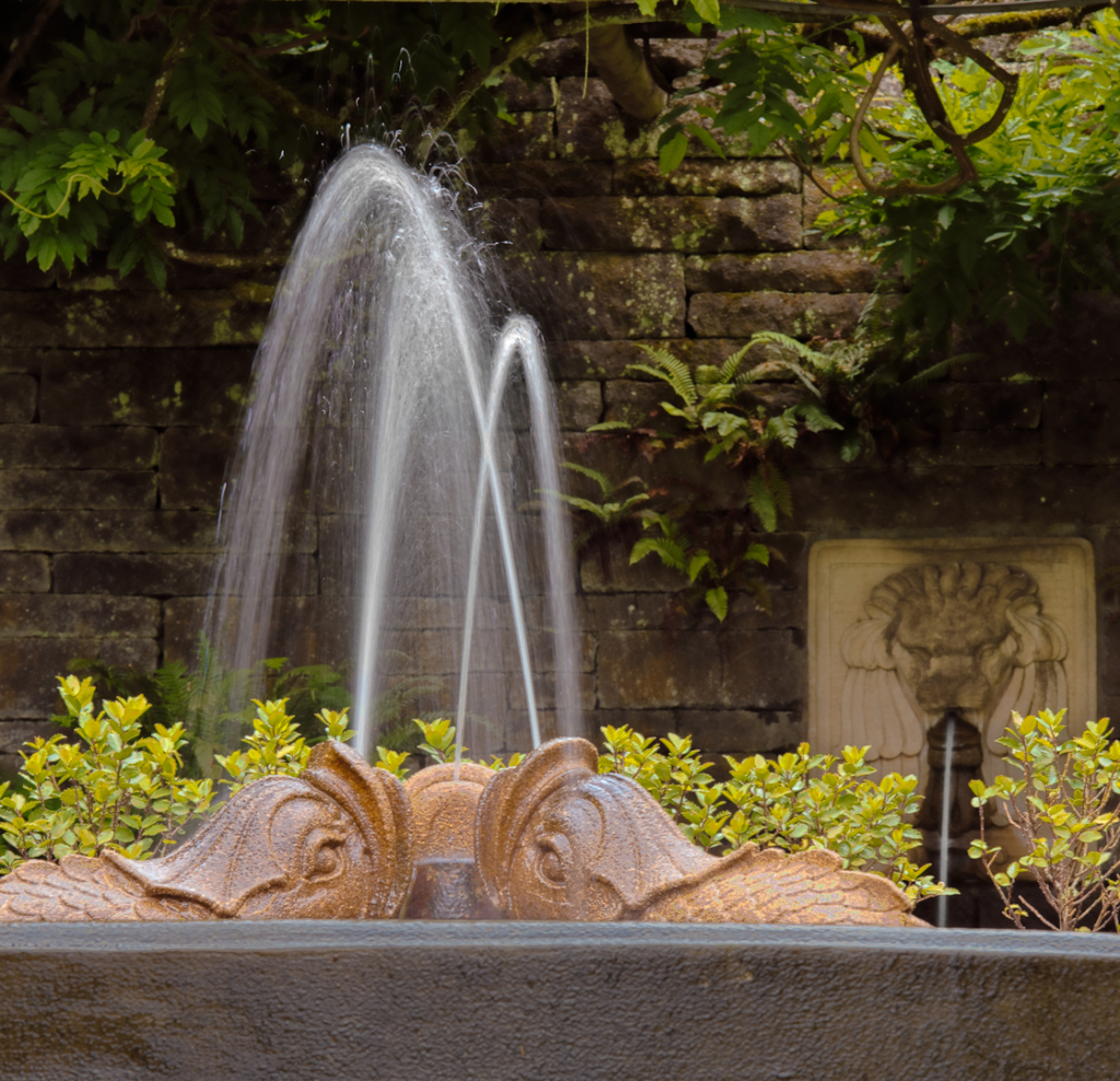 stephen-fish-fountain – The Portland Photographic Society