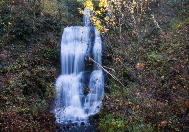 Elaine – Royal Terrace Falls – The Portland Photographic Society